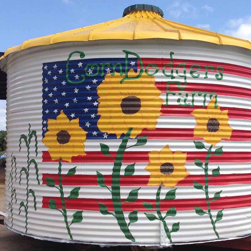 Attractions - CornDodgers Farm