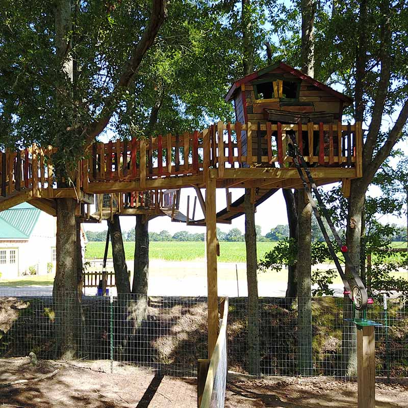 Attractions - CornDodgers Farm