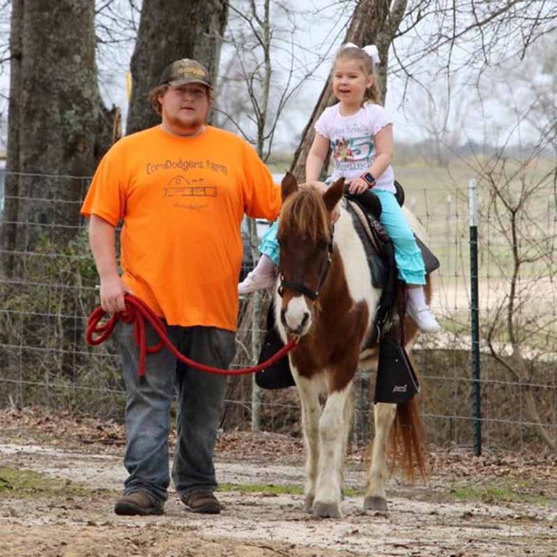Attractions - CornDodgers Farm